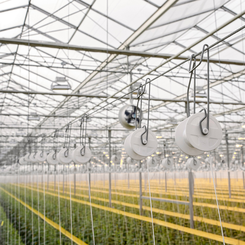 RollerHook – HORTIDIS