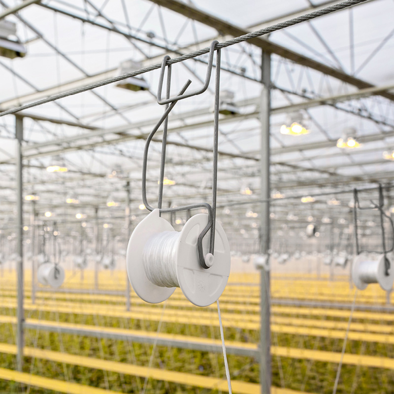 RollerHook – HORTIDIS