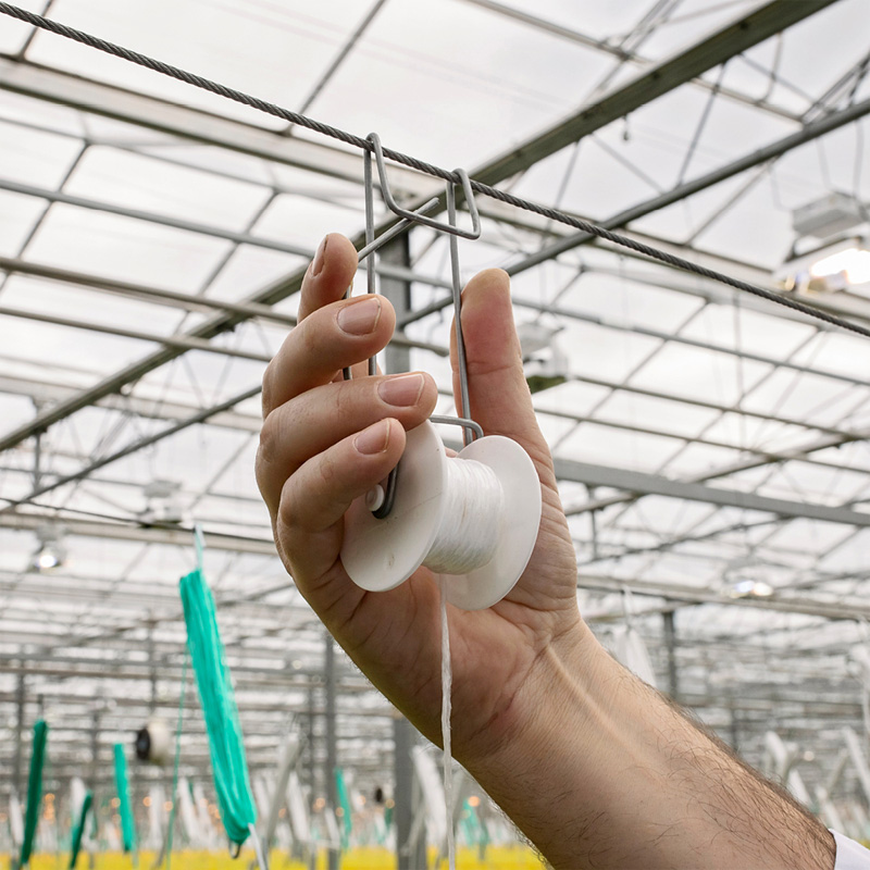 RollerHook – HORTIDIS