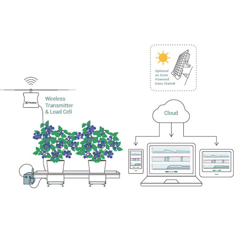 Drain Vision – HORTIDIS