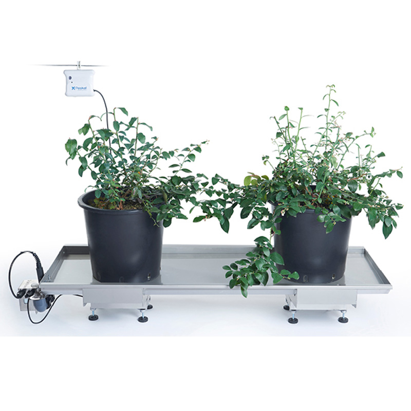 Drain Vision – HORTIDIS